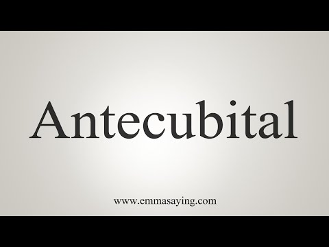 How To Say Antecubital