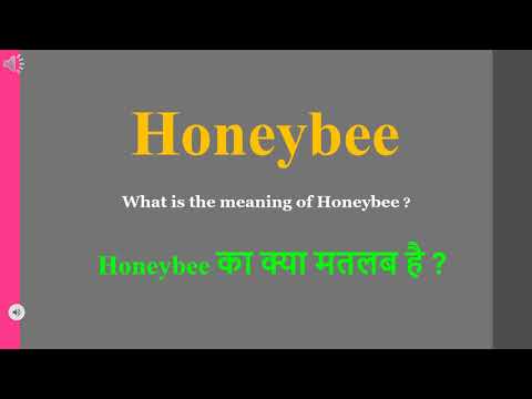 Honeybee meaning in Hindi | Honeybee ka kya matlab hota hai | daily use English words