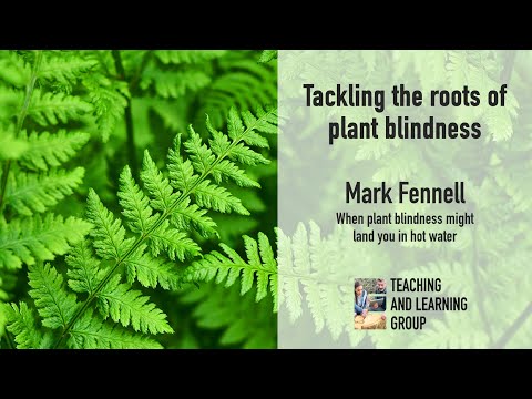 Tackling the roots of plant blindness - Mark Fennell