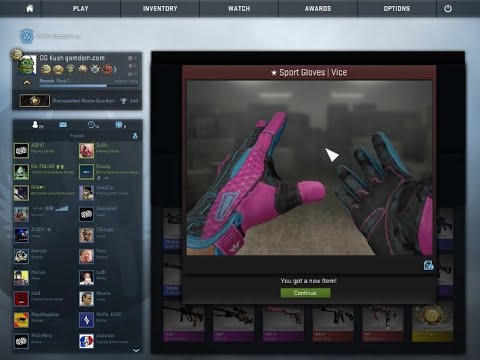 I Unboxed Factory New Vice Gloves!! $30000