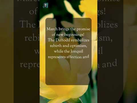 March Birth Flowers: Discover the Daffodil & Jonquil 🌼