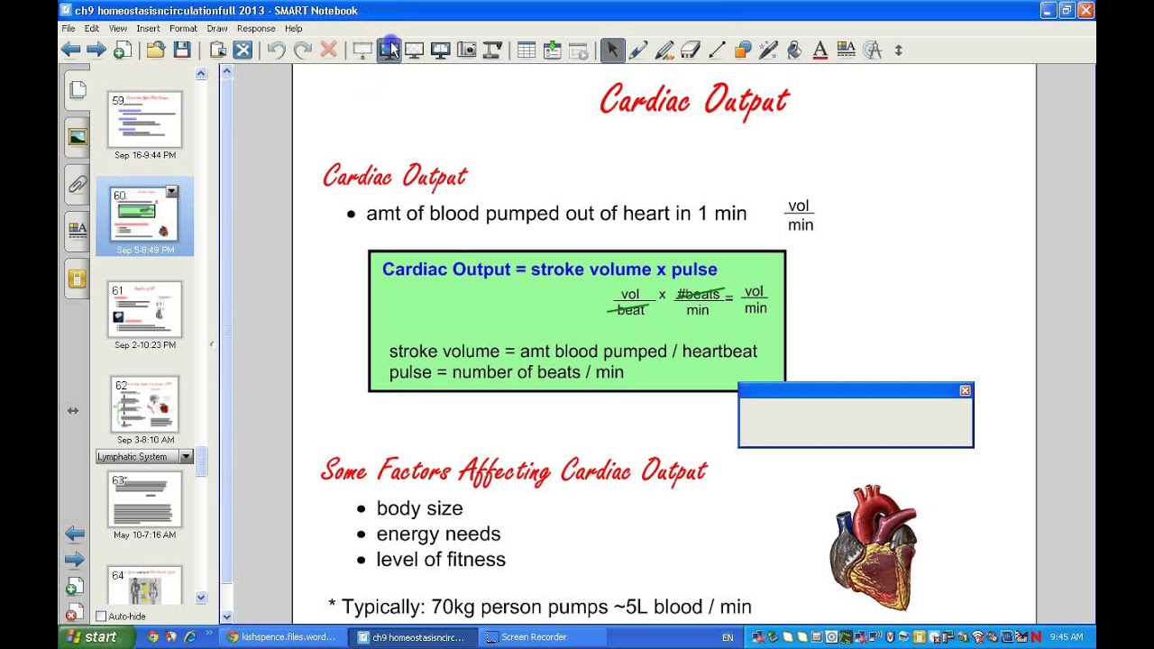Case Study 2 Answers