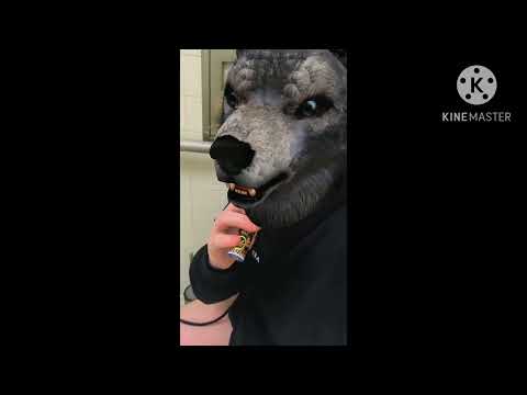 scp 445