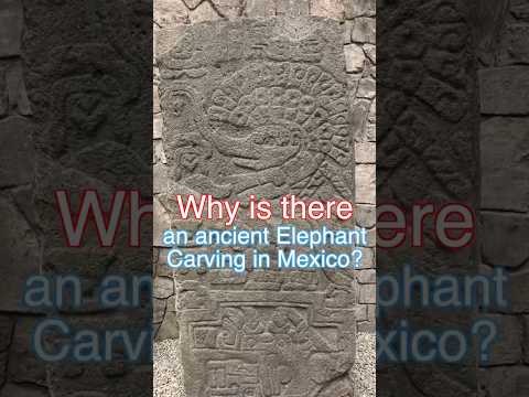 Is this an image of an Elephant at the Ancient site of Monte Alban in Oaxaca, Mexico? #history