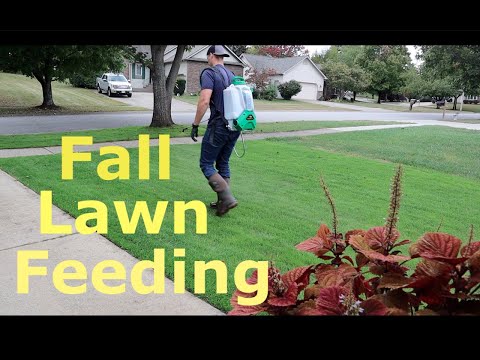 New Lawn? WATCH THIS