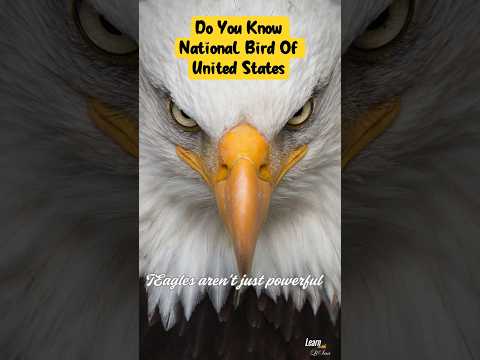 #DidYouKnow #How Powerful Are Eagles? ???? #You’ll Be Surprised! #DoYouKnow