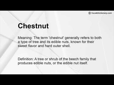Chestnut Meaning