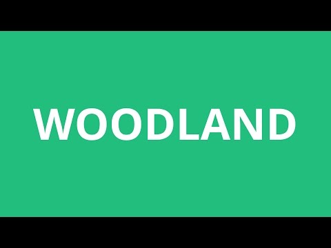 How To Pronounce Woodland - Pronunciation Academy