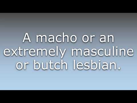 What does Bull dyke mean?