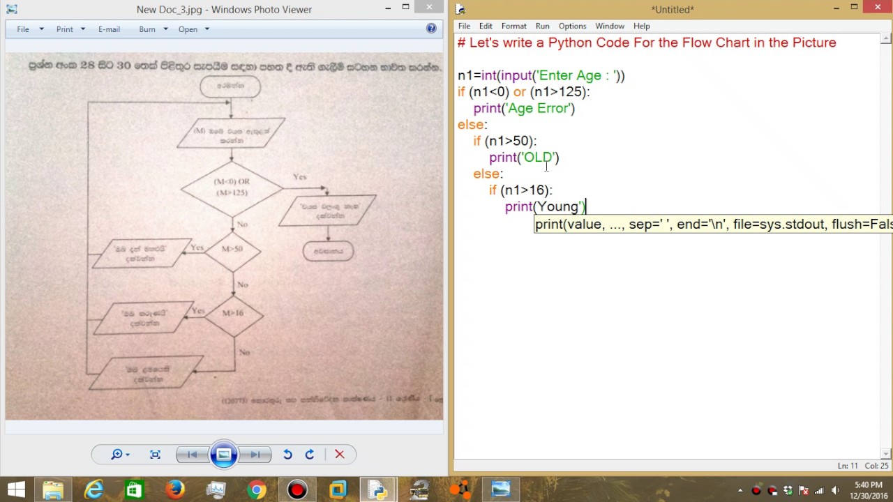 Tutorial #11 Python Code Age [input]