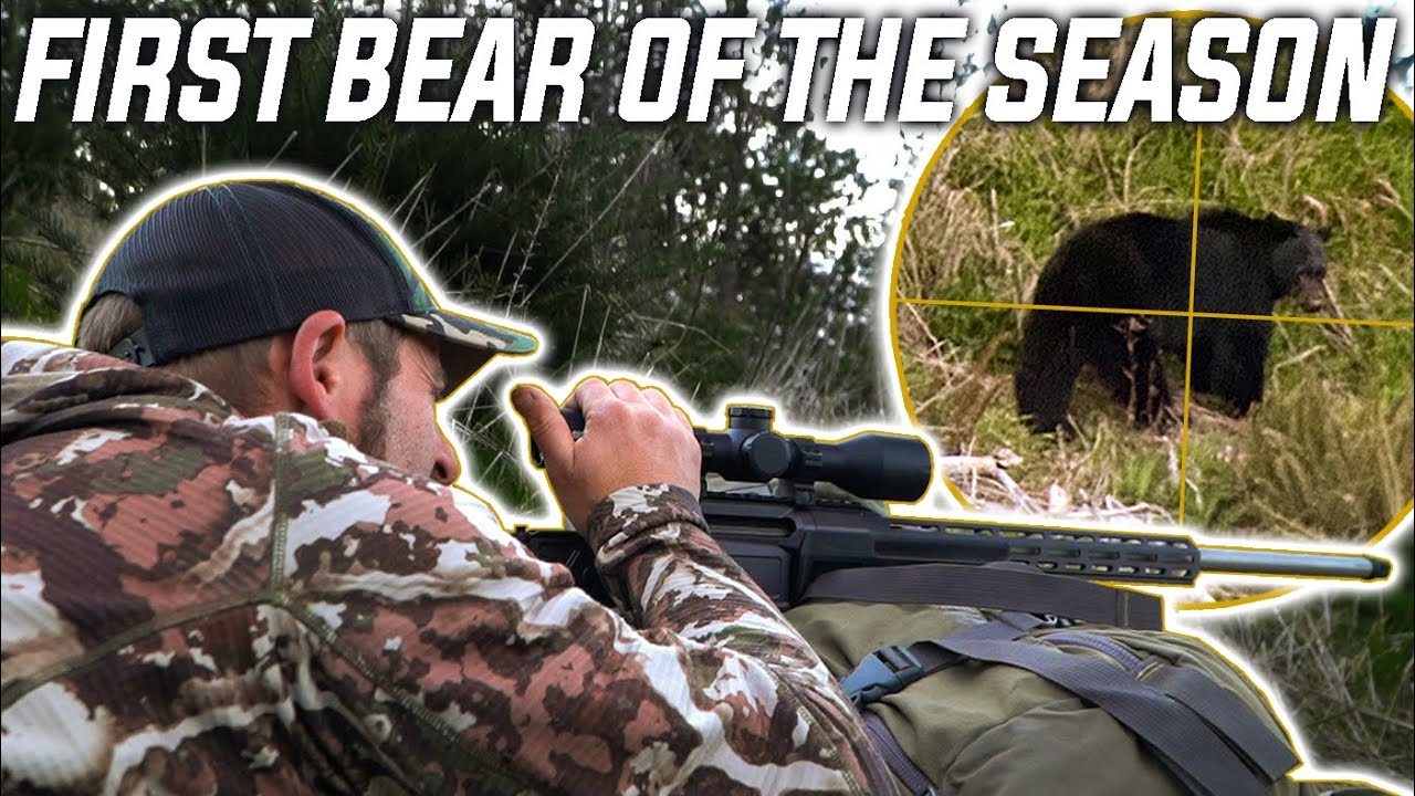 Oregon Spring Bear Hunt (BIG BLACK BEAR)