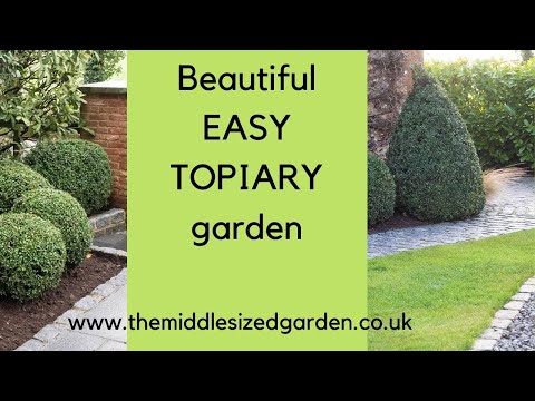 EASY TOPIARY SHAPES for a dramatic and beautiful garden!