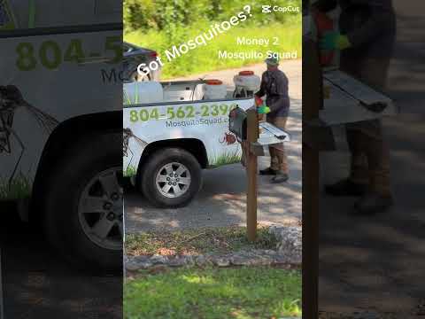 Be bite free with Mosquito Squad! #fyp #richmond #mosquito #squad #bugs #fleas #ticks treatment