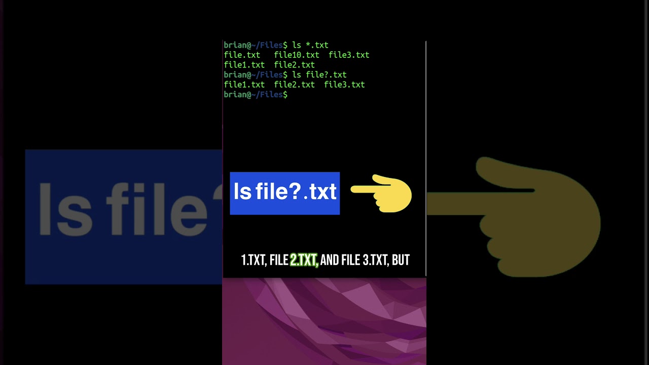 Master BASH Wildcard Characters Like a Pro