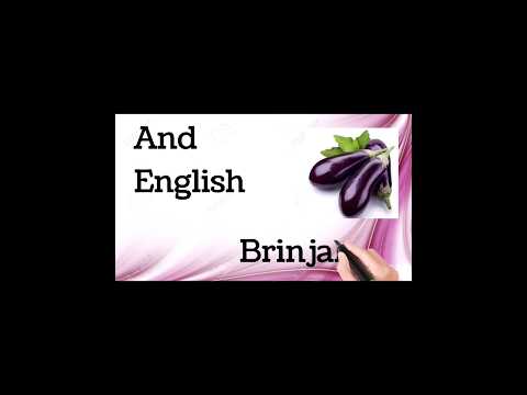 Vegetable words.Brinjal | بیگن | बैंगन | 茄子 | برينجال | English words #translate