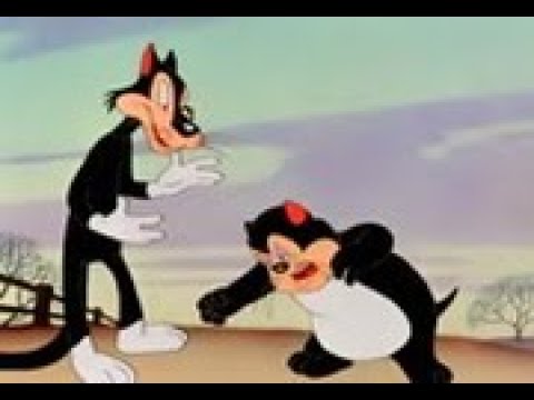 A Tale of Two Kitties 🐱 | Hilarious Cartoon Cat Comedy#cat #cats cartoon#cartoon