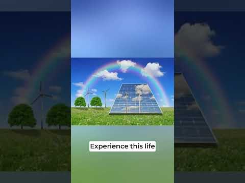 Top Energy Consulting Firms Suncoast Energy Management