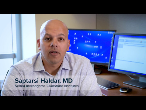 Video abstract: A new strategy to treat heart failure