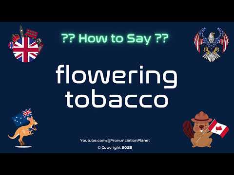 🌼 🚬 How to Pronounce flowering tobacco? (CORRECTLY) | Pronunciation Planet
