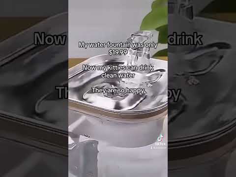 Is 19.99 a good price for pet water fountains? #cat #catsoftiktok #catvideos