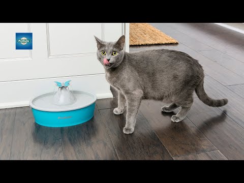 PetSafe® Drinkwell® Butterfly Pet Fountain