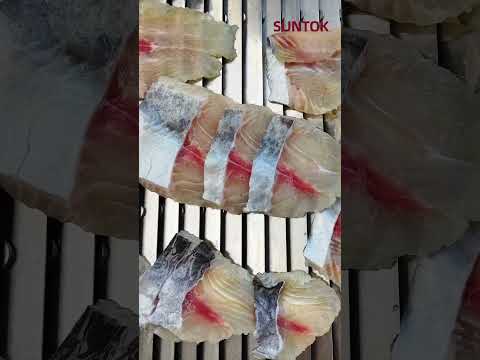 Pangasius fish slicer for seafood processing factory