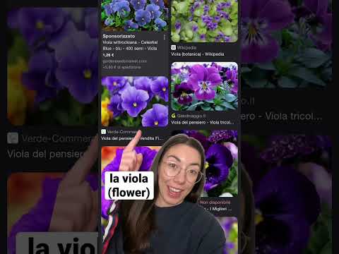 Italian word VIOLA - 3 different meanings