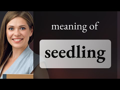 Seedling • definition of SEEDLING