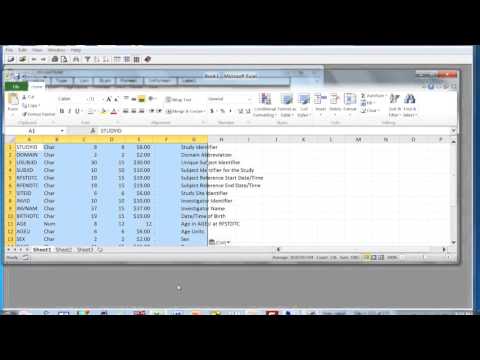 Viewing SAS Dataset Attributes in EG versus System Viewer with Sy Truong