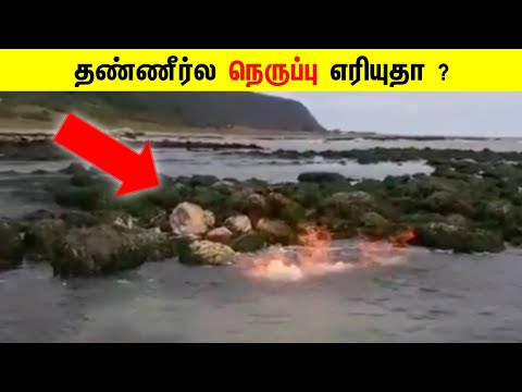தண்ணீர்ல நெருப்பு எரியுதா ? 😱 _ Natural Phenomenon _ Informative Facts Tamil _ #shorts #facts