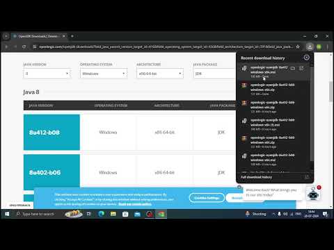 How to download and install Java JDK 8 without oracle account on windows 10 [QUICK & EASY]