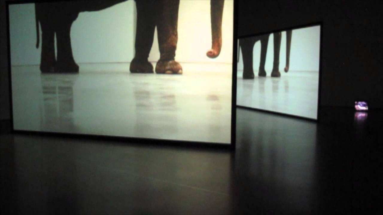 Douglas Gordon: Timeline