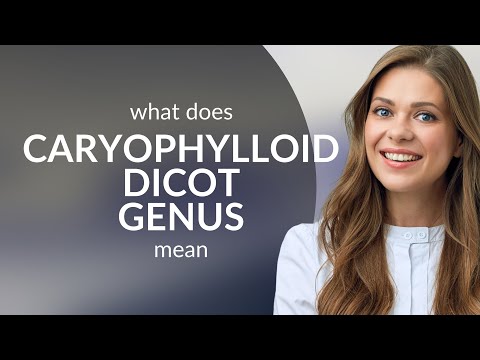 Caryophylloid dicot genus | what is CARYOPHYLLOID DICOT GENUS definition