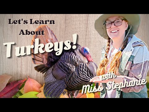 Turkey Farm Virtual Field Trip, Let's Lear... - SafeShare