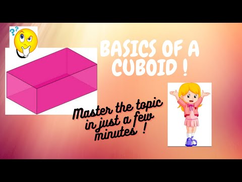 Basics of a Cuboid | Meaning of a Cuboid | Types of area calculated for a cuboid
