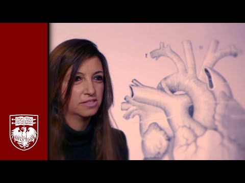 Psychology of Love