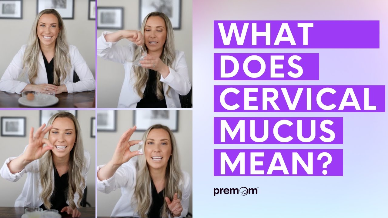 Types of Cervical Mucus - Demonstration on Hormones Impact on Your Fertility