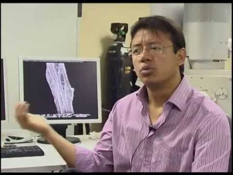 Neural Repair & Biomaterials lab National Paraplegics Hospital