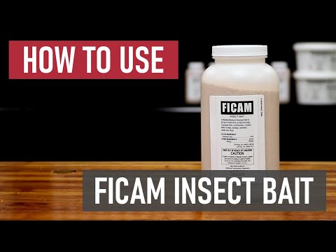 How to Use Ficam Insect Bait