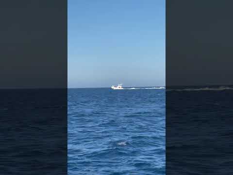 Mikelson 43’ Cruising through some Seas no problem!!