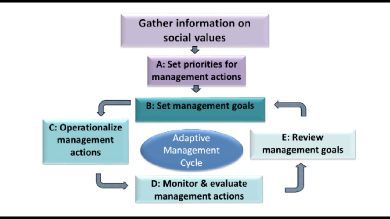 Social Accountability - What is a Social Management System?