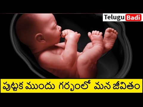 Life Inside the Womb in Telugu | 9 Months Life Before Birth | Telugu Badi