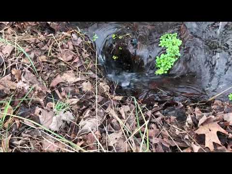 Pennsylvania spring water – words and images