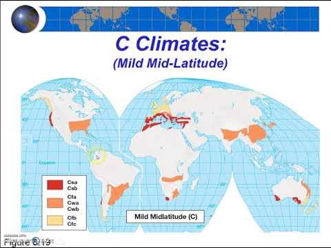 C Climates Part 2