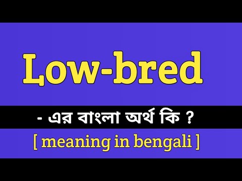 Low-bred Meaning in Bengali || Lowbred শব্দটির বাংলা অর্থ কি || Bengali Meaning Of Low-bred