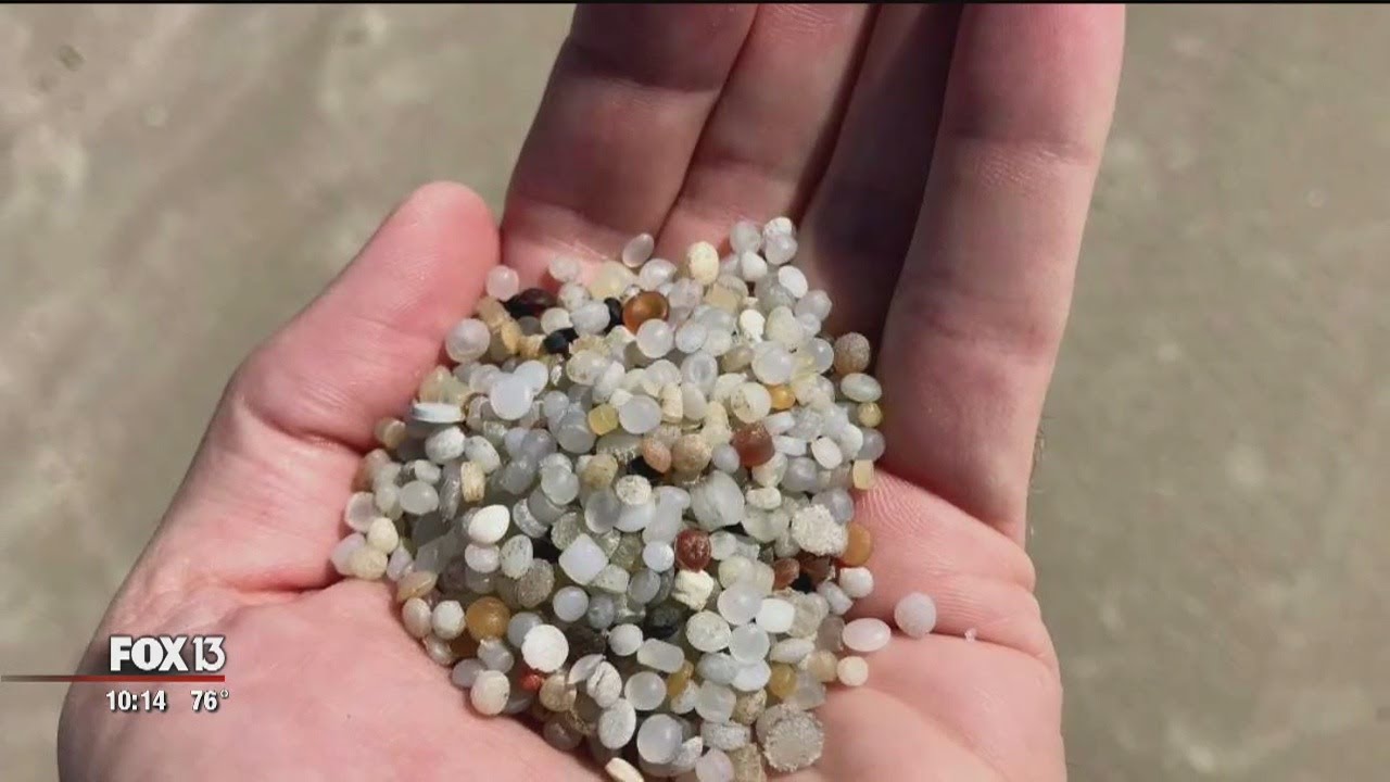 'Nurdle Patrol' is on the hunt for plastic pellets