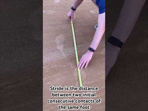 Step Length vs Stride Length #hamstrings #feldenkraisnyc #feldenkrais #walking #sijoint