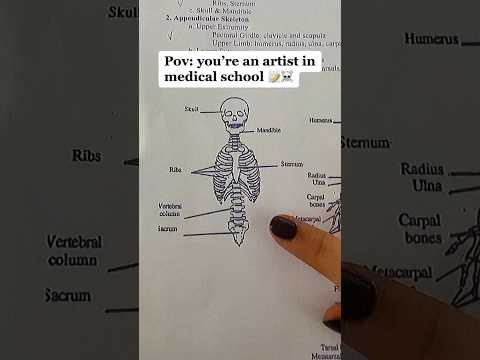 Pov: you’re an artist in medical school 🙇♀️🩺 #art #creative #corpsebride