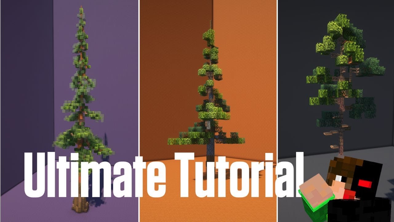 The ULTIMATE pine tree GUIDE ?!