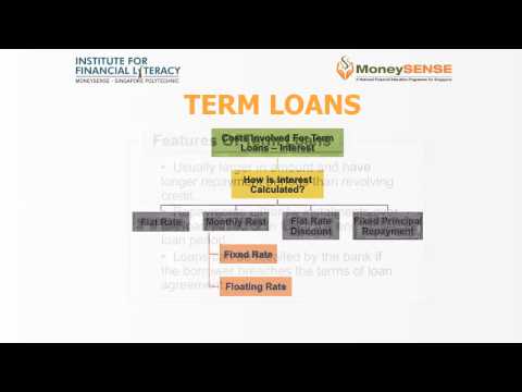 08 features of term loans